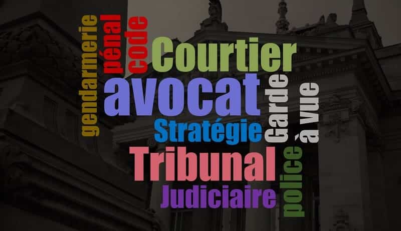 Avocat; Terrassonnais Haut Périgord noir : les élus ont notamment ...